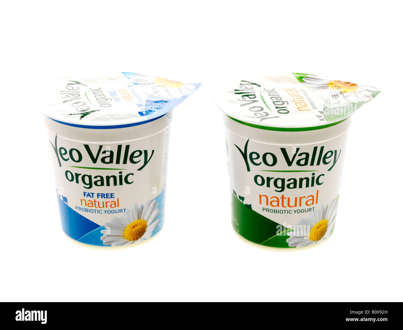 Fat Free Natural Yogurt Stock Photo - Alamy