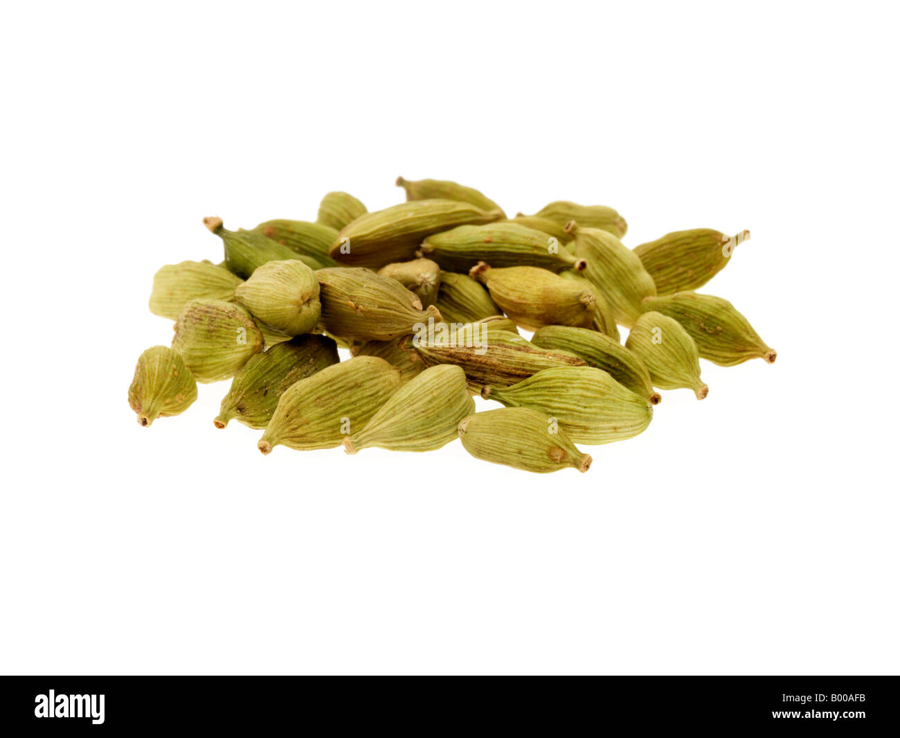 Fresh Healthy Cardamom Pods Cooking Ingredients Spices Isolated Against ...
