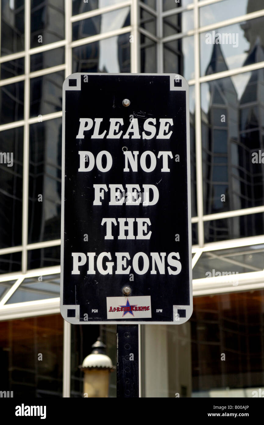 Please do not feed the Pigeons sign Stock Photo - Alamy