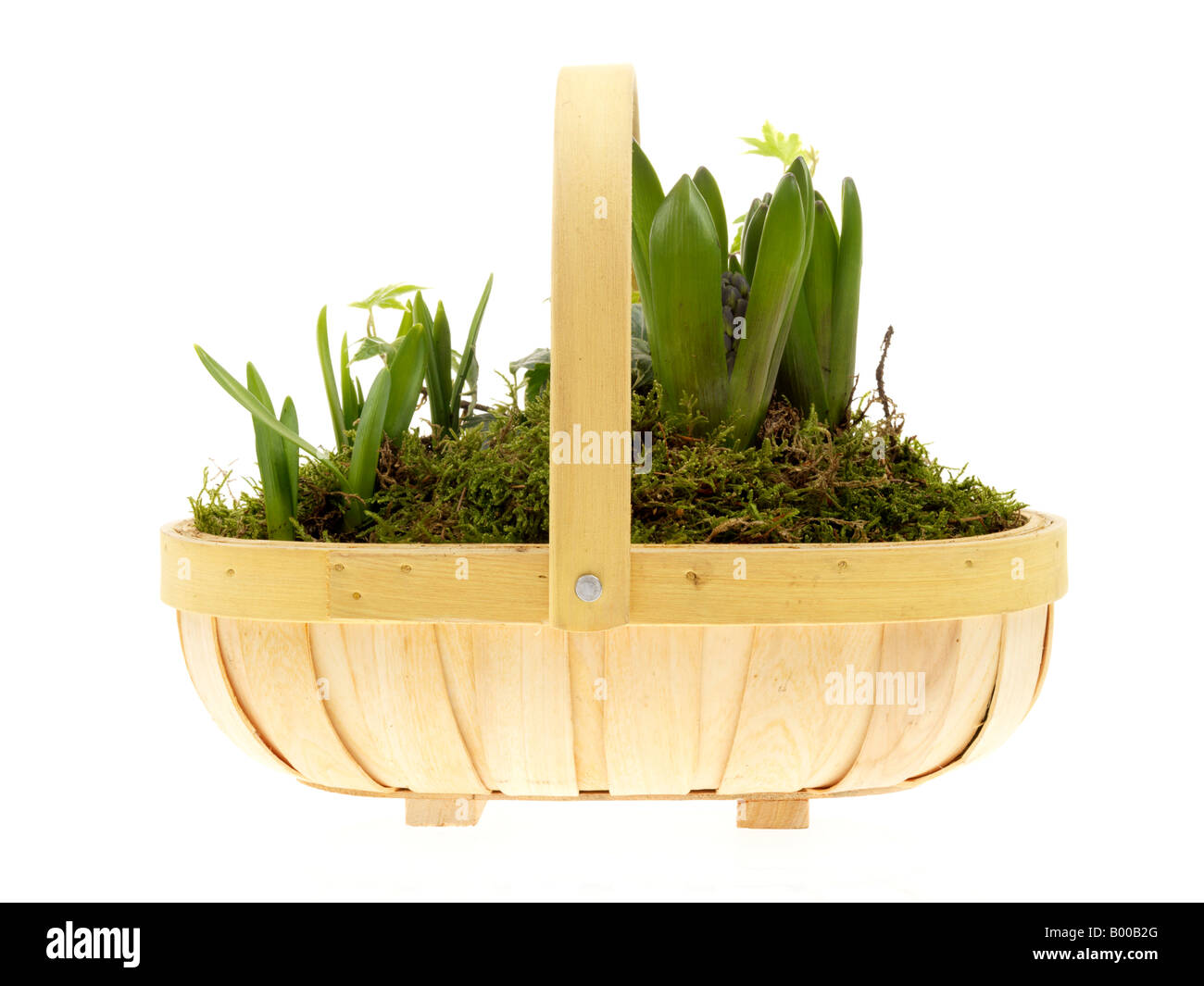 Spring Flower Basket Stock Photo - Alamy