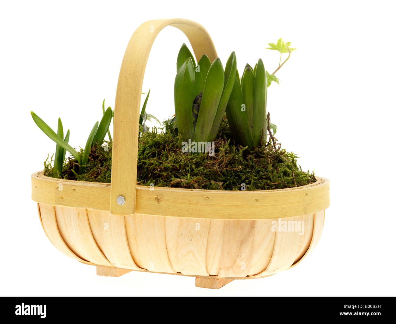 Spring Flower Basket Stock Photo - Alamy