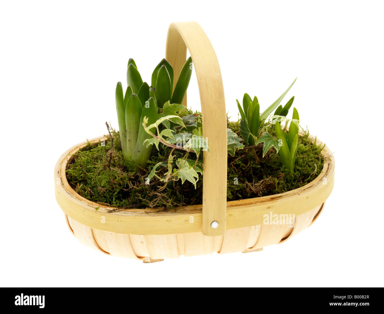 Spring Flower Basket Stock Photo - Alamy