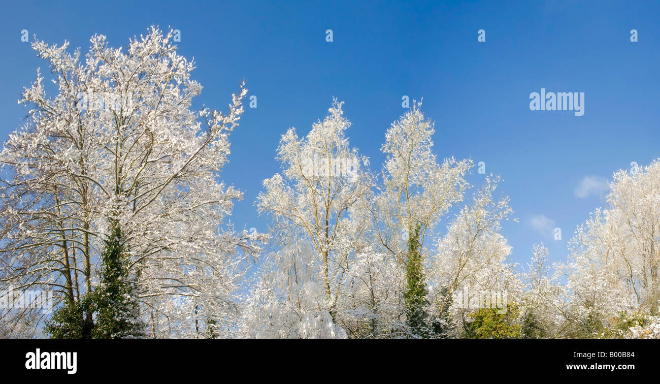A snow covered rural landscape in the countryside Stock Photo - Alamy