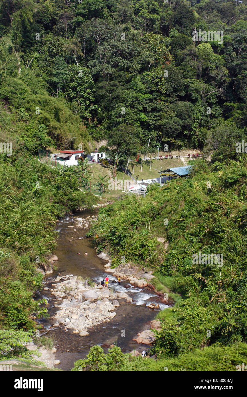 Thick tropical forest hi-res stock photography and images - Alamy