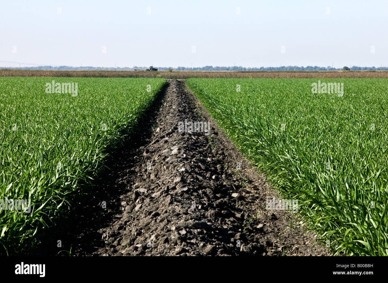 farmland mid-valley california Stock Photo - Alamy