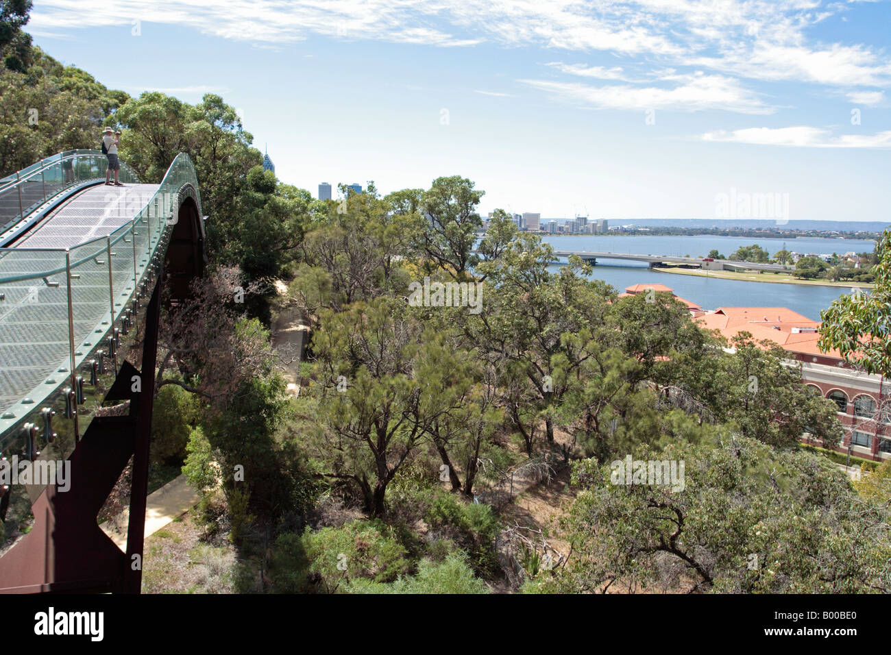 Elevated walkway at Kings Park in Perth, Western Australia Stock Photo ...