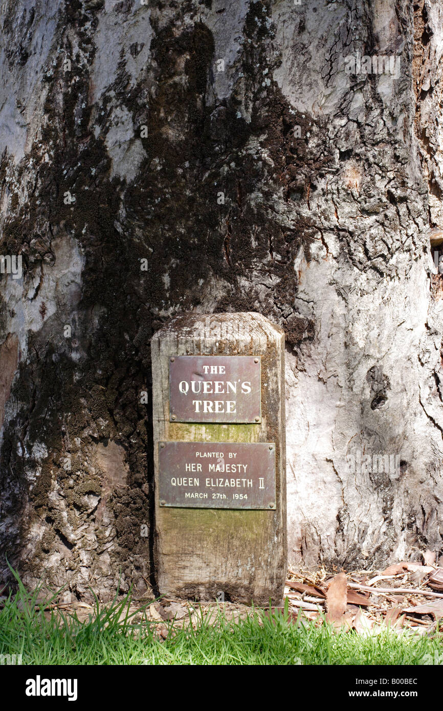 Kings and queens history hi-res stock photography and images - Alamy