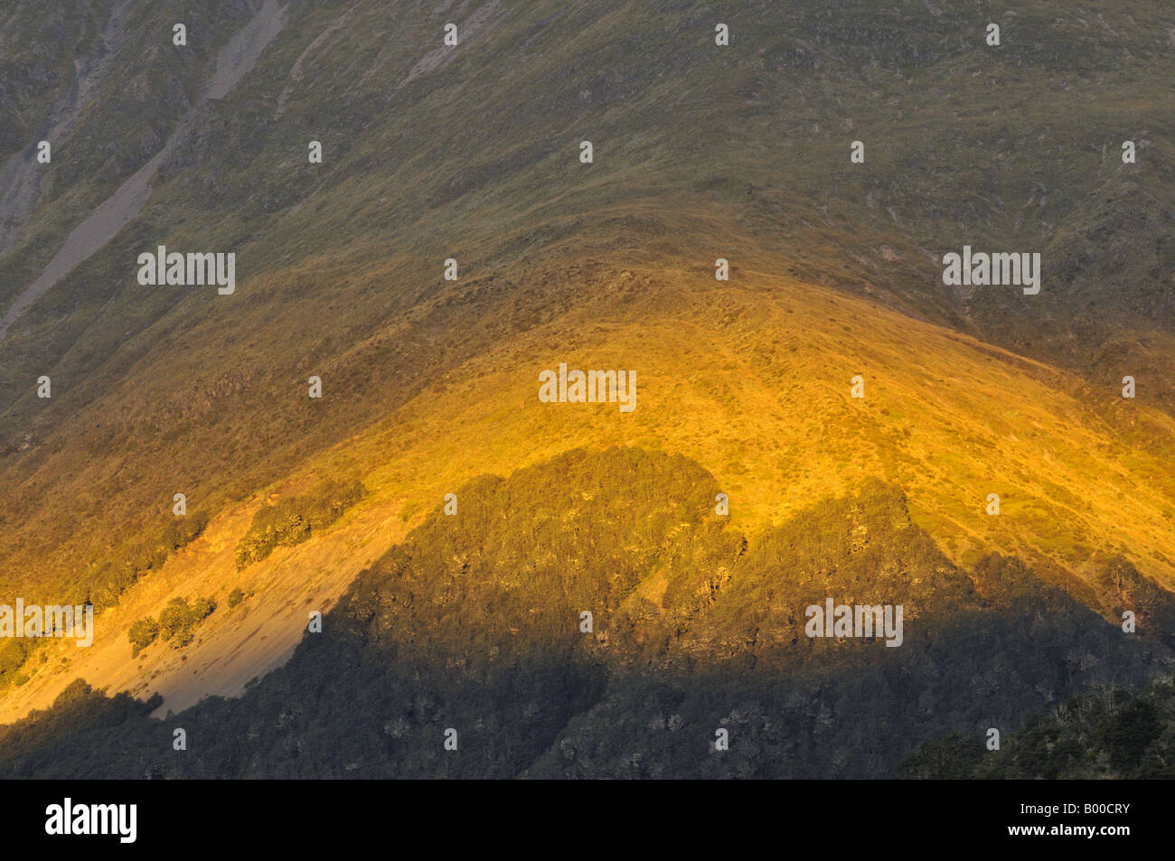 Lewis Pass in late afternoon light New Zealand Stock Photo - Alamy
