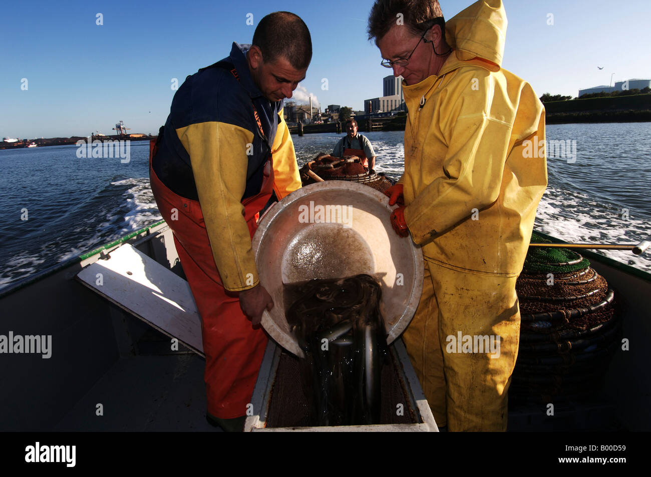 Port of Rotterdam eel fishing Stock Photo - Alamy