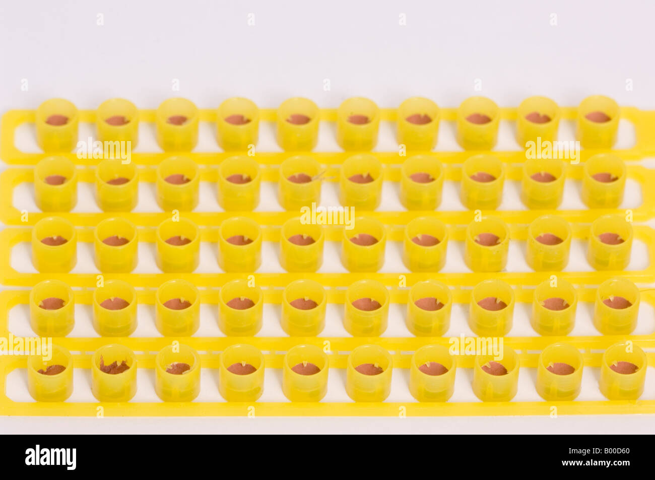 Caps For Toy Gun Stock Photo - Alamy