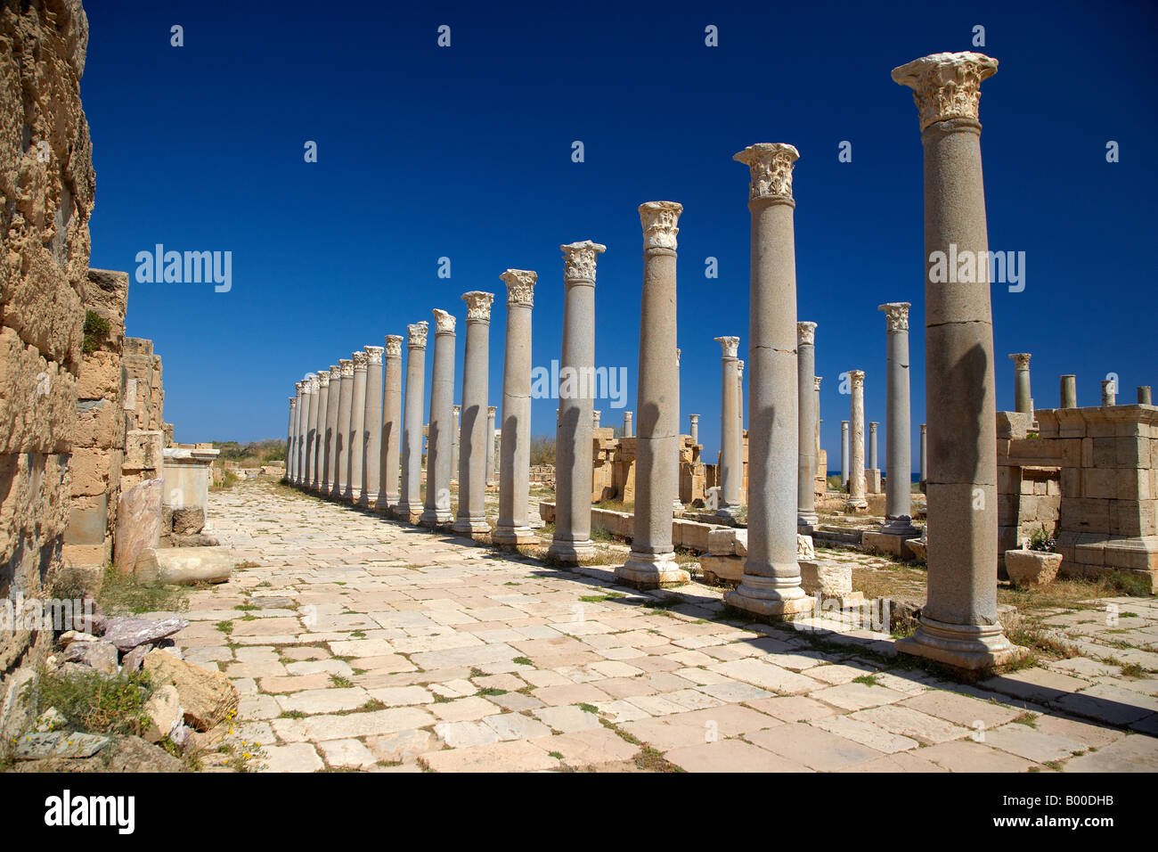 Ancient Columns, Leptis Magna, Libya, North Africa Stock Photo - Alamy