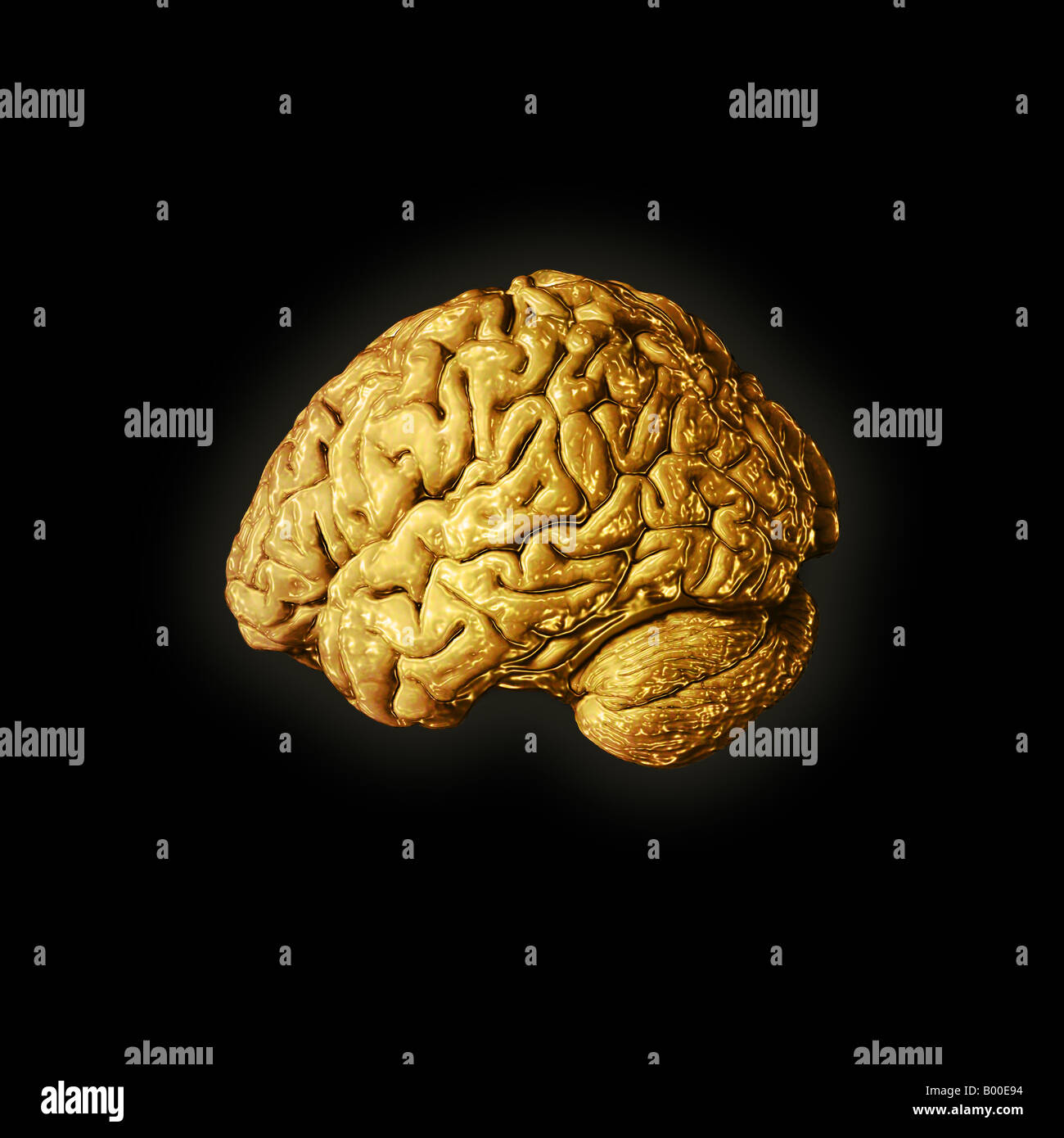 Billion dollar brain hi-res stock photography and images - Alamy