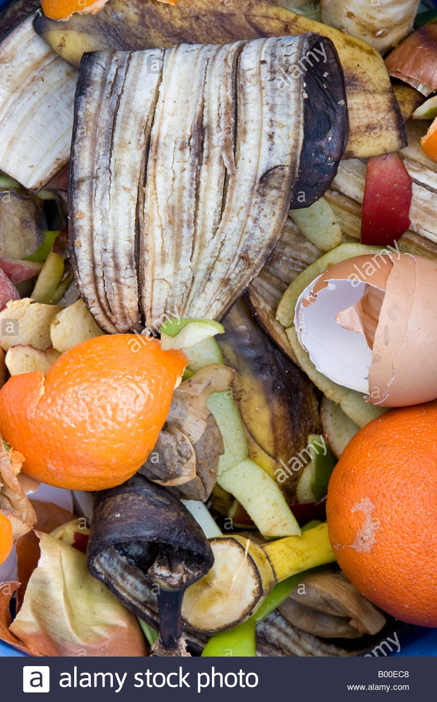 Food Waste Stock Photos & Food Waste Stock Images - Alamy