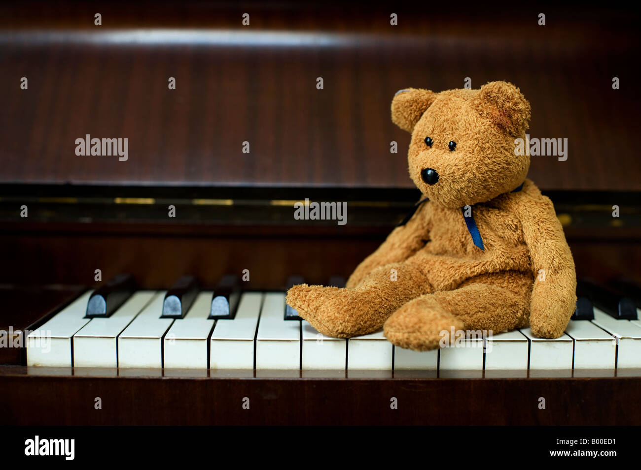 Teddy bear sitting on piano keys Stock Photo - Alamy