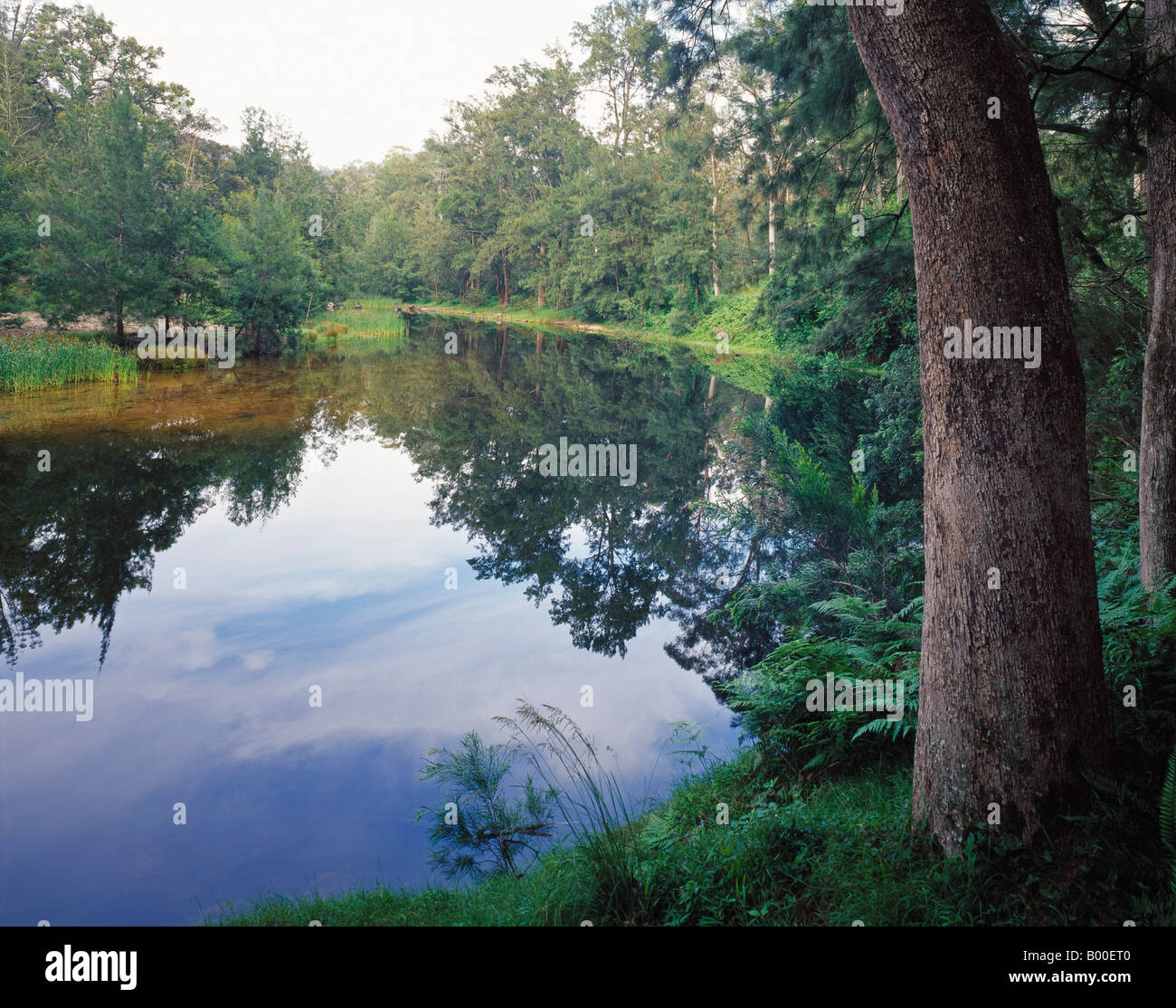 Deua national park hi-res stock photography and images - Alamy
