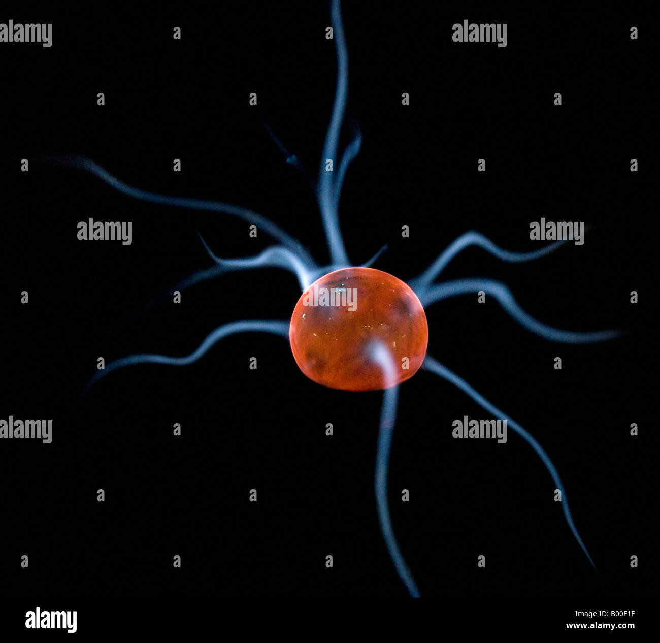 Plasma sphere hi-res stock photography and images - Alamy