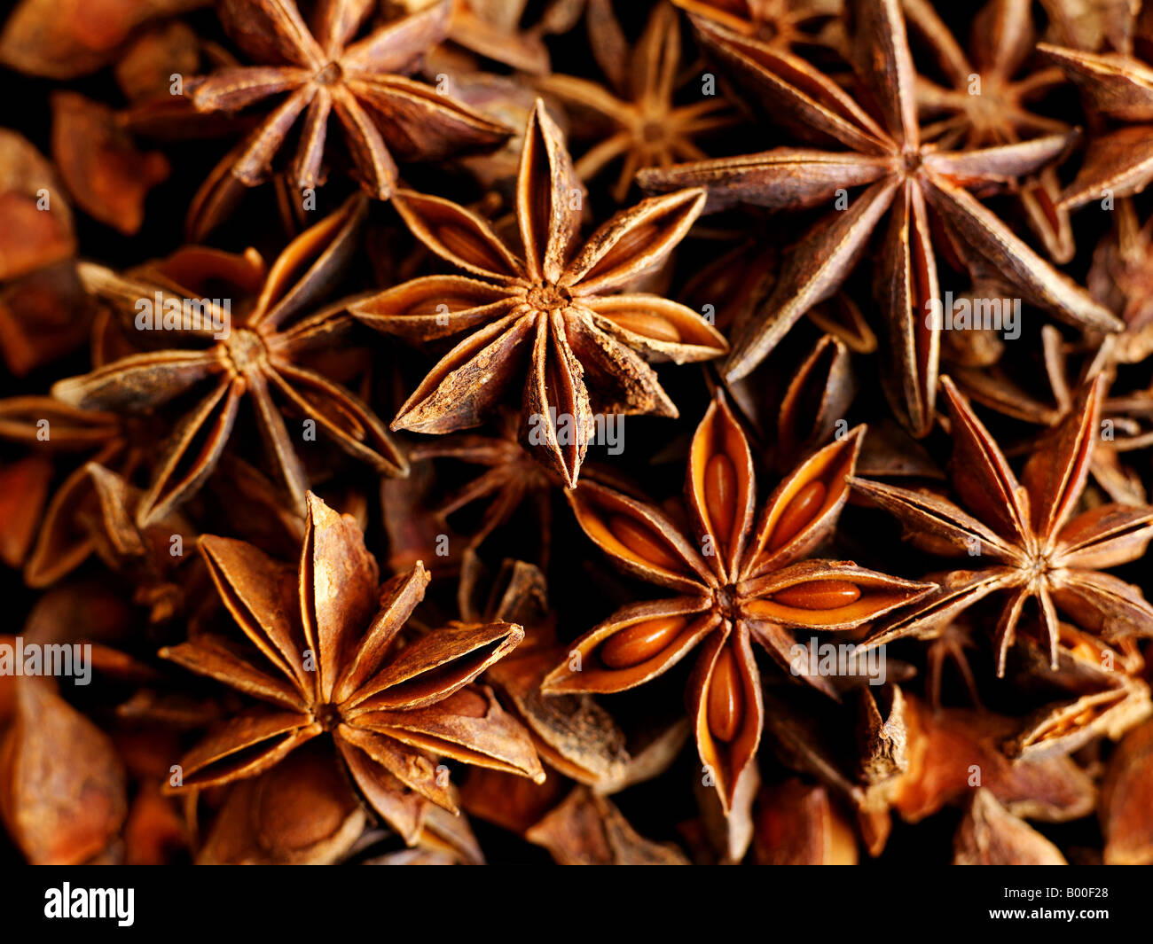 Photograph of Star Anise Stock Photo - Alamy