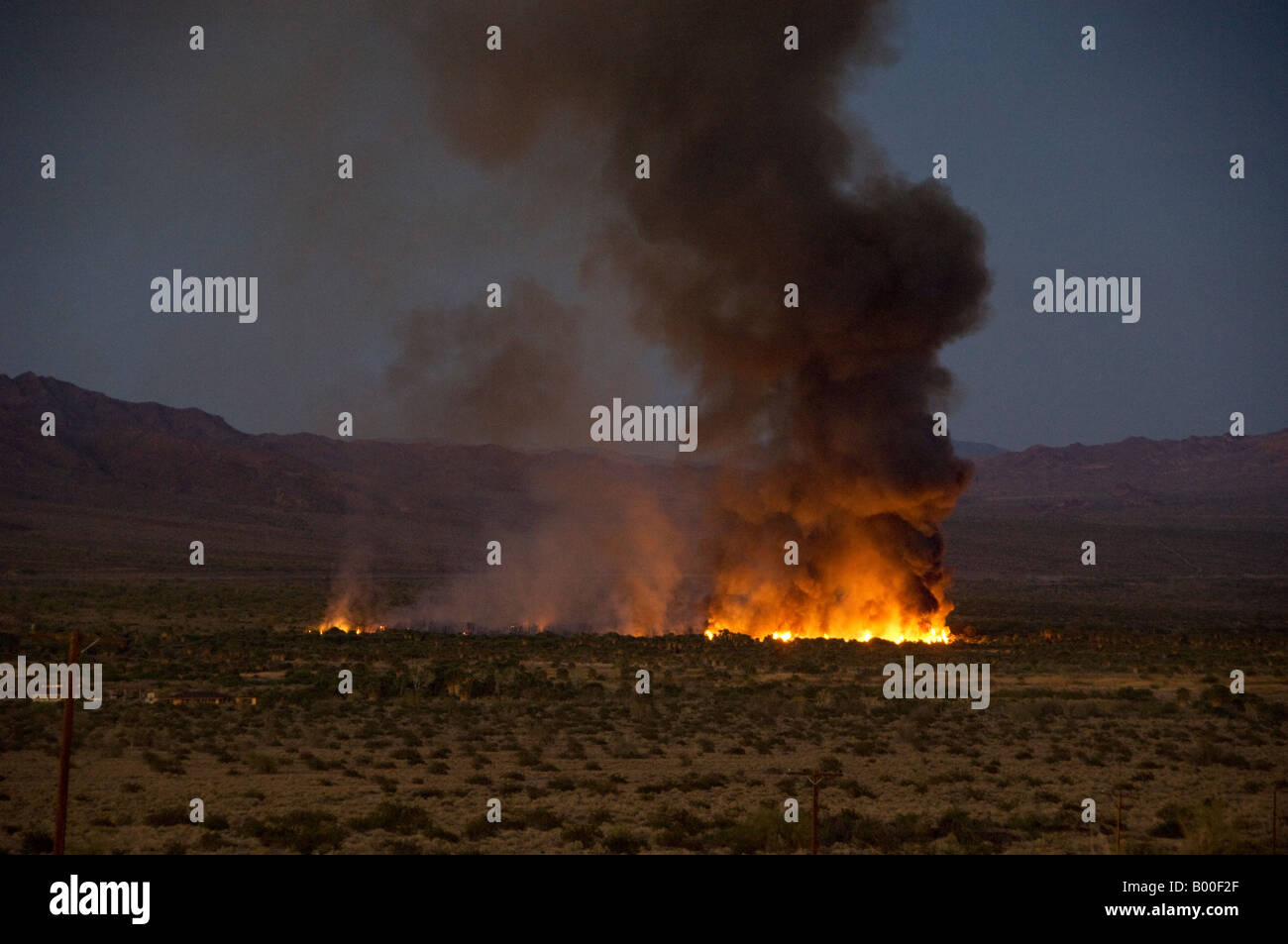 Desert Fire in Oasis by the Salton Sea Stock Photo - Alamy