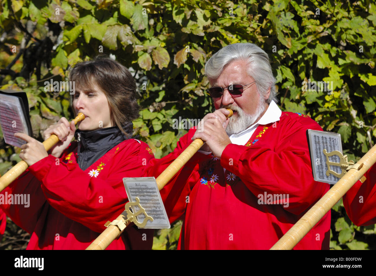Alpenhorn players hi-res stock photography and images - Alamy