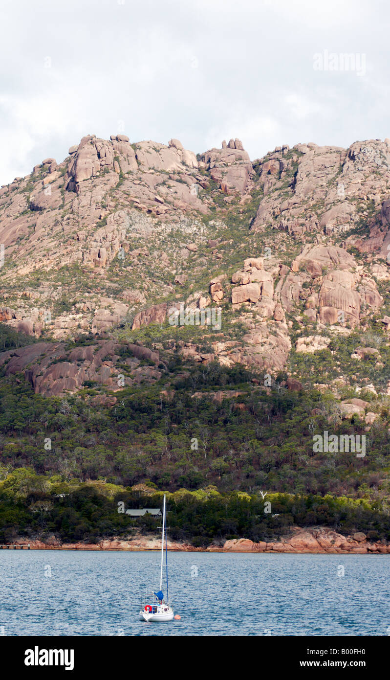 Floating forest australia hi-res stock photography and images - Alamy