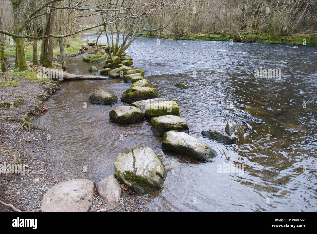 River feeding Rydale water English Lake district Stock Photo - Alamy