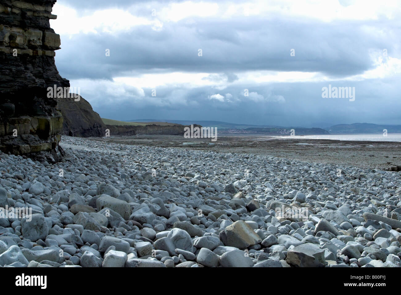 Kilve fossils hi-res stock photography and images - Alamy