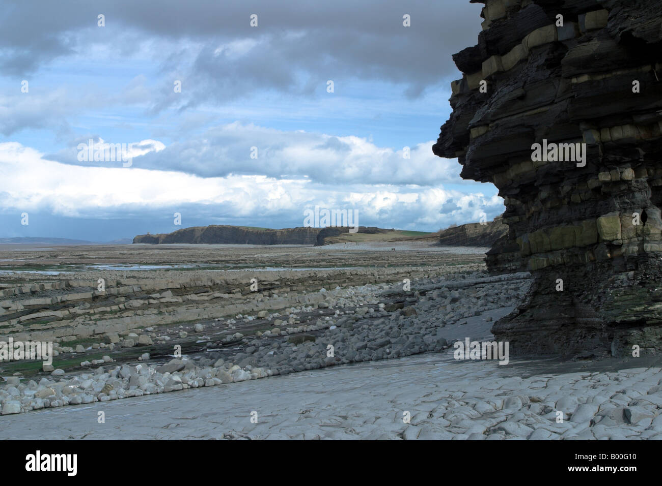 Kilve fossils hi-res stock photography and images - Alamy
