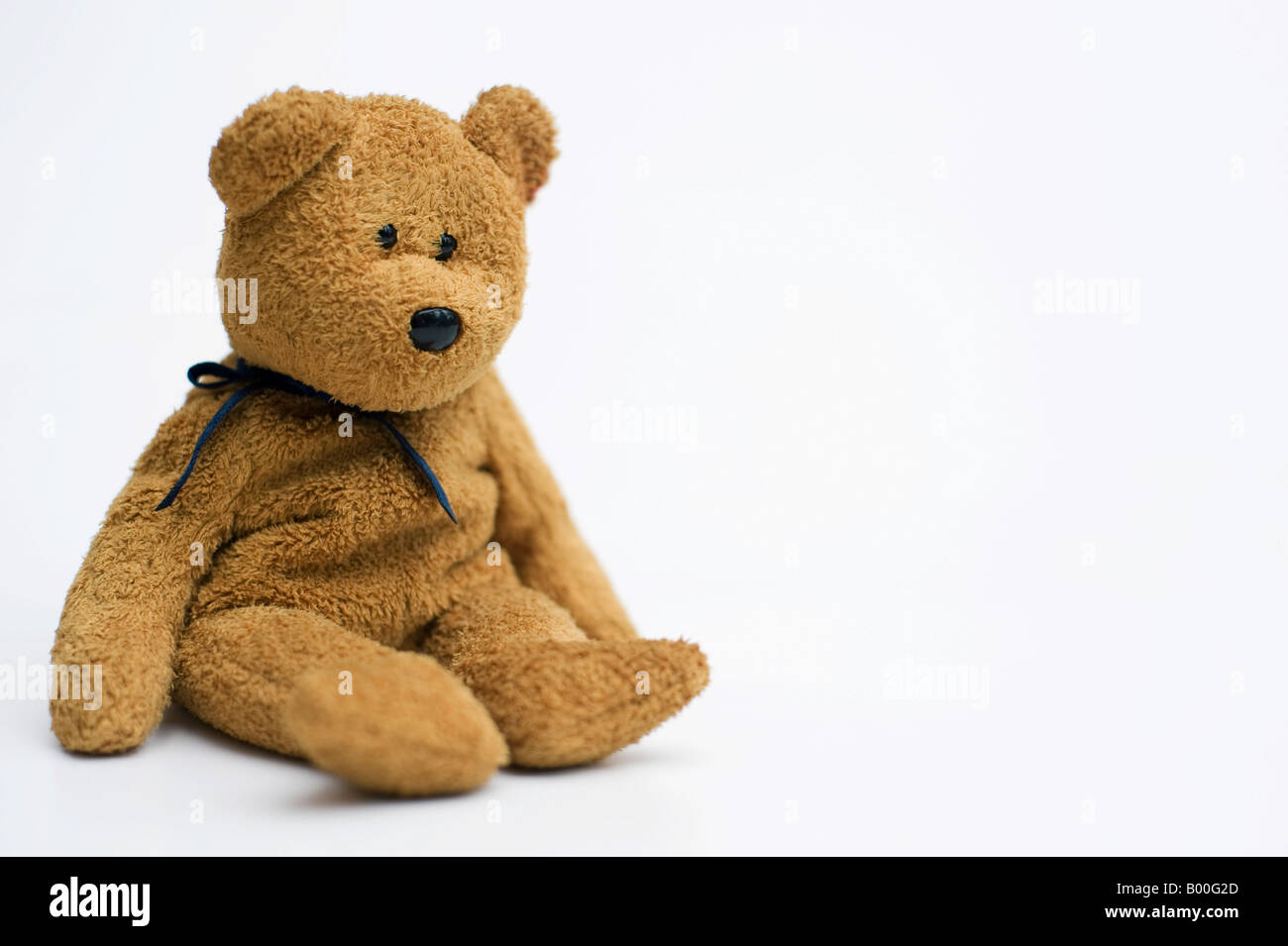 Teddy bear sat on a white background Stock Photo - Alamy