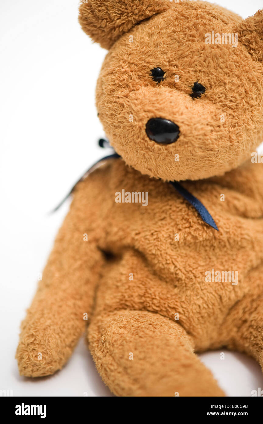 Teddy bear sat on a white background Stock Photo - Alamy