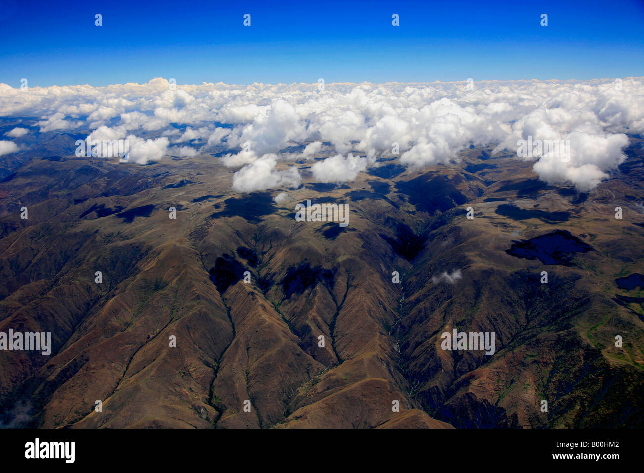 Castellanus Stock Photos & Castellanus Stock Images - Alamy