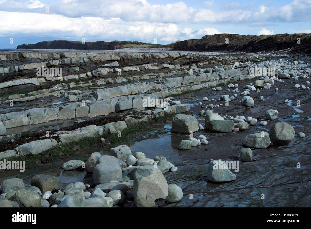 Kilve fossils hi-res stock photography and images - Alamy