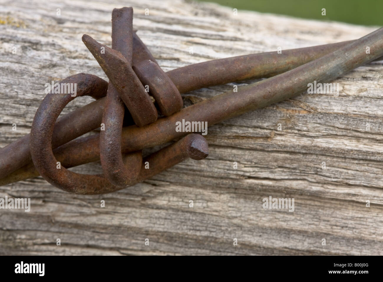 Barbed Wire on a Weathered Wood Fence board Stock Photo - Alamy