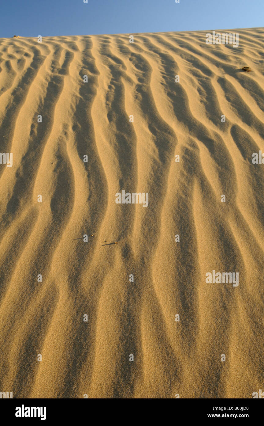 Beautiful Sand Dunes in India Stock Photo - Alamy