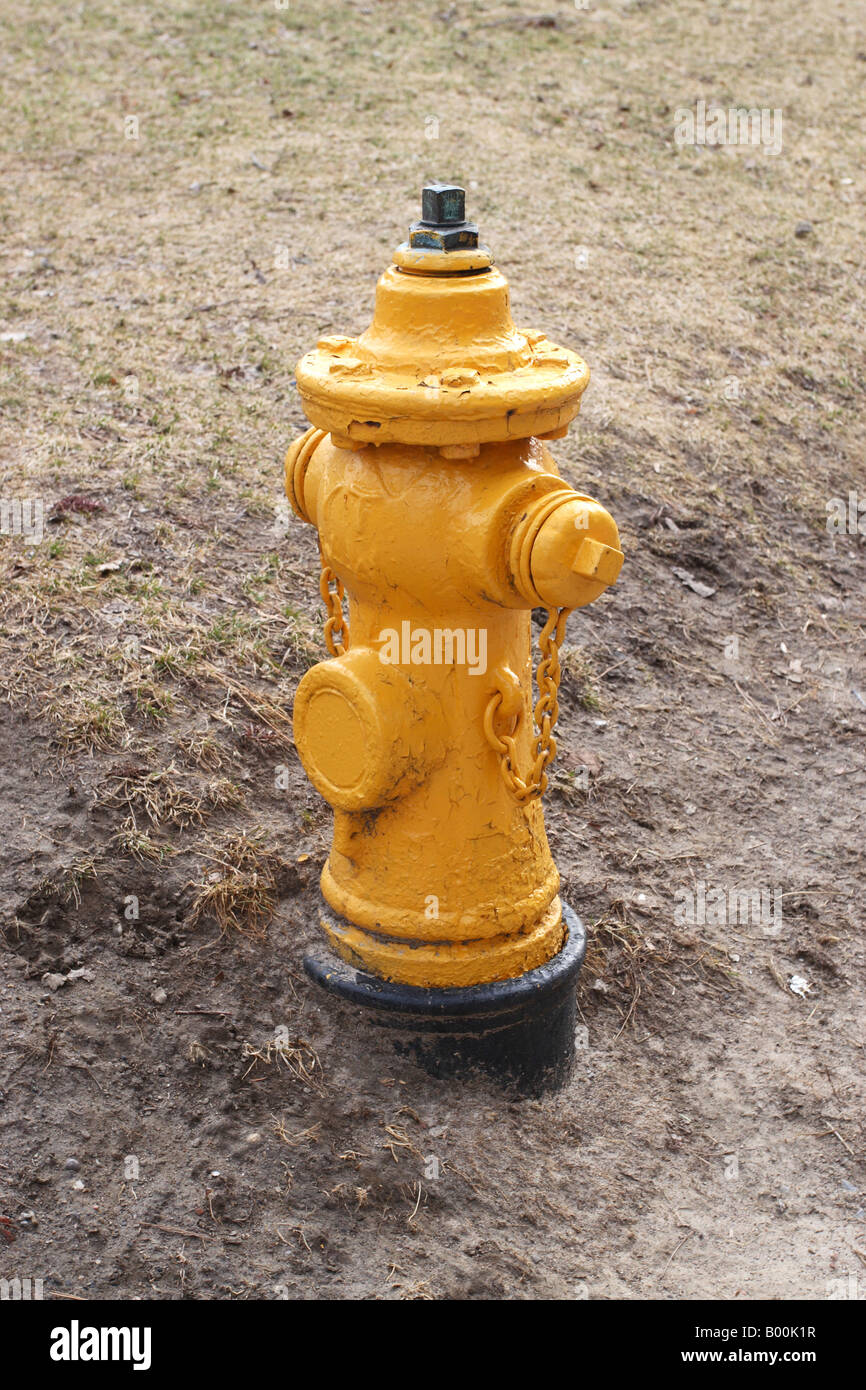 A yellow fire hydrant Stock Photo - Alamy