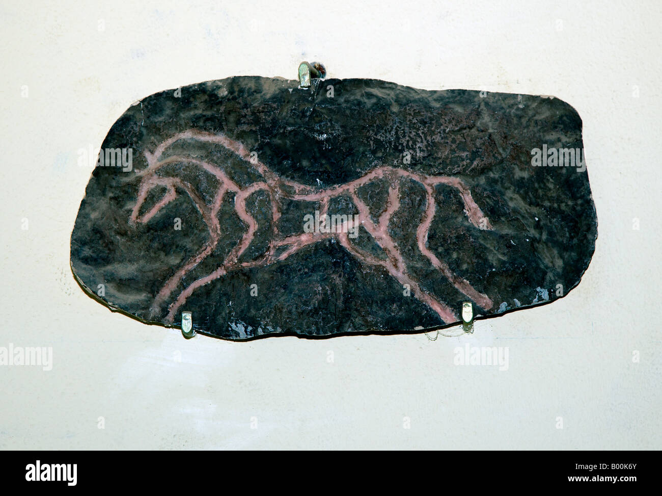 Prehistoric Engraving of a Horse, Leptis Magna Museum, Libya, North ...