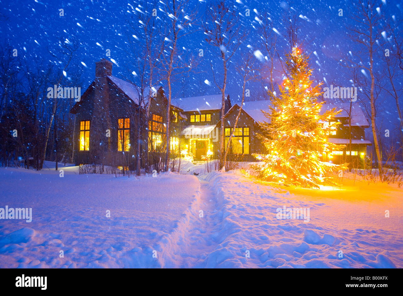 Ontario house exterior with Christmas tree Stock Photo - Alamy