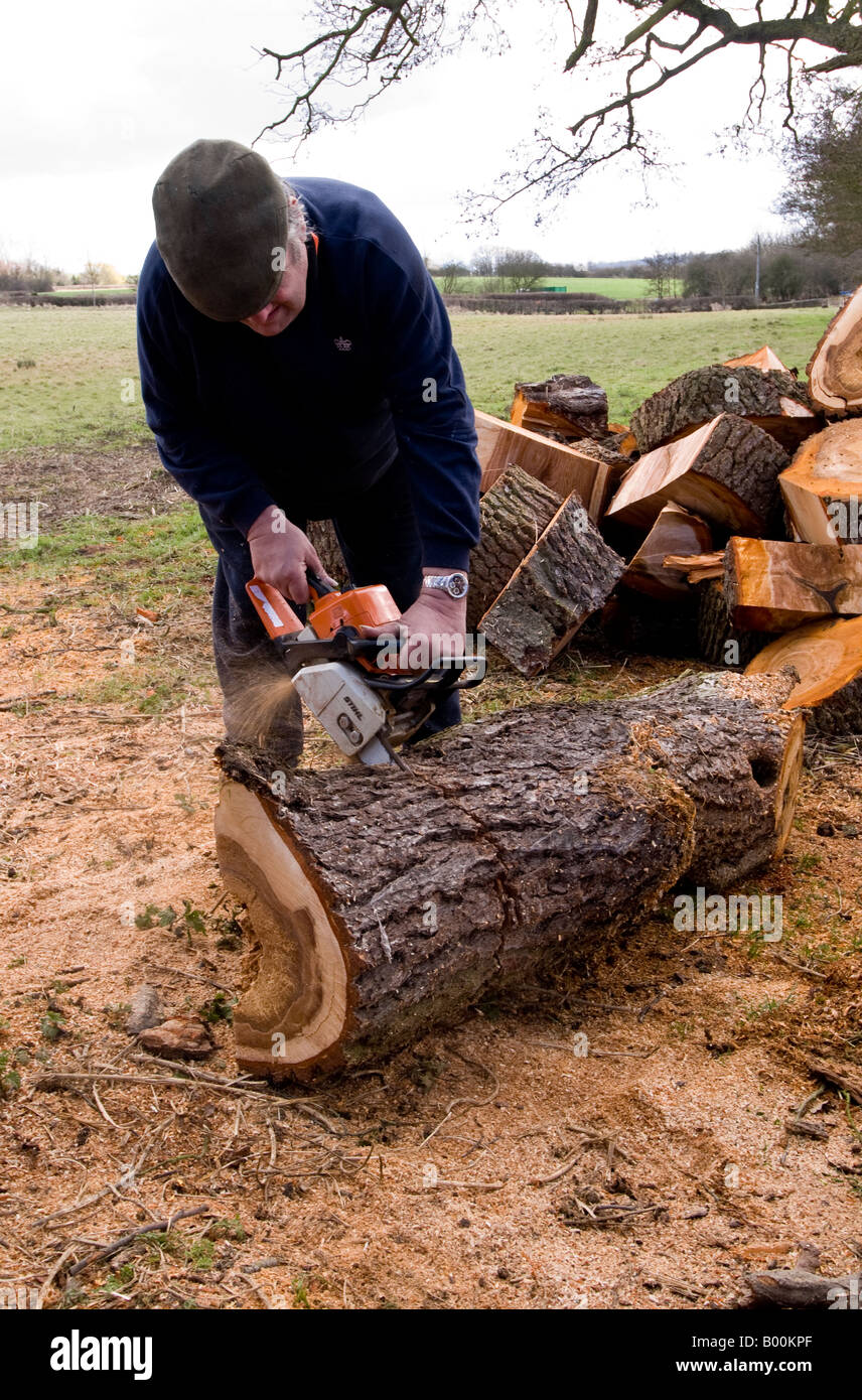 An estate worker cutting timber with a chain saw Stock Photo - Alamy