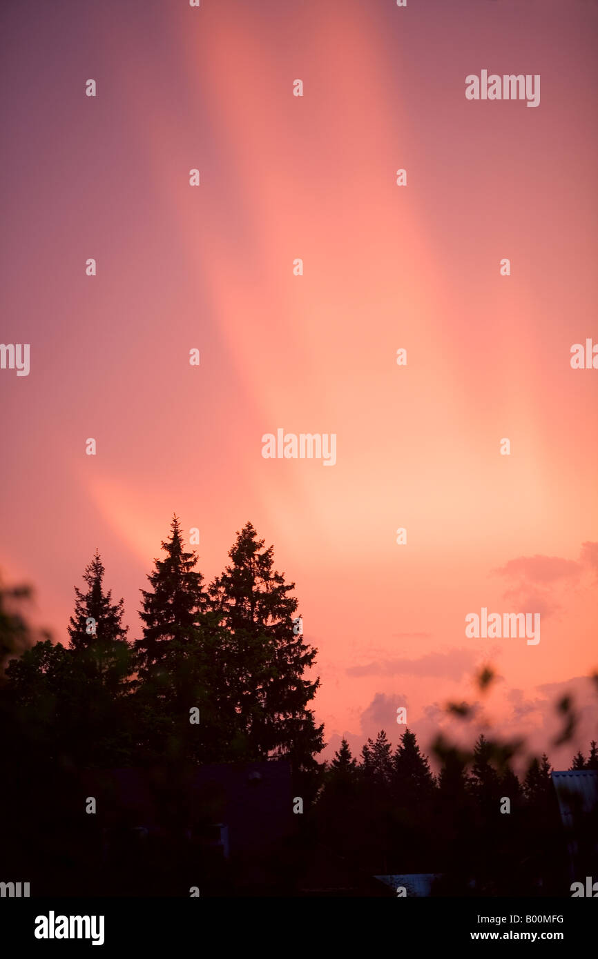 A sunset in a forest Stock Photo - Alamy