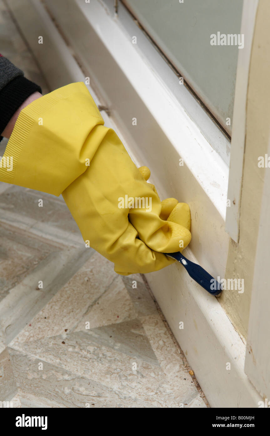 Woman cleaning shower cubicle with tooth brush Stock Photo - Alamy
