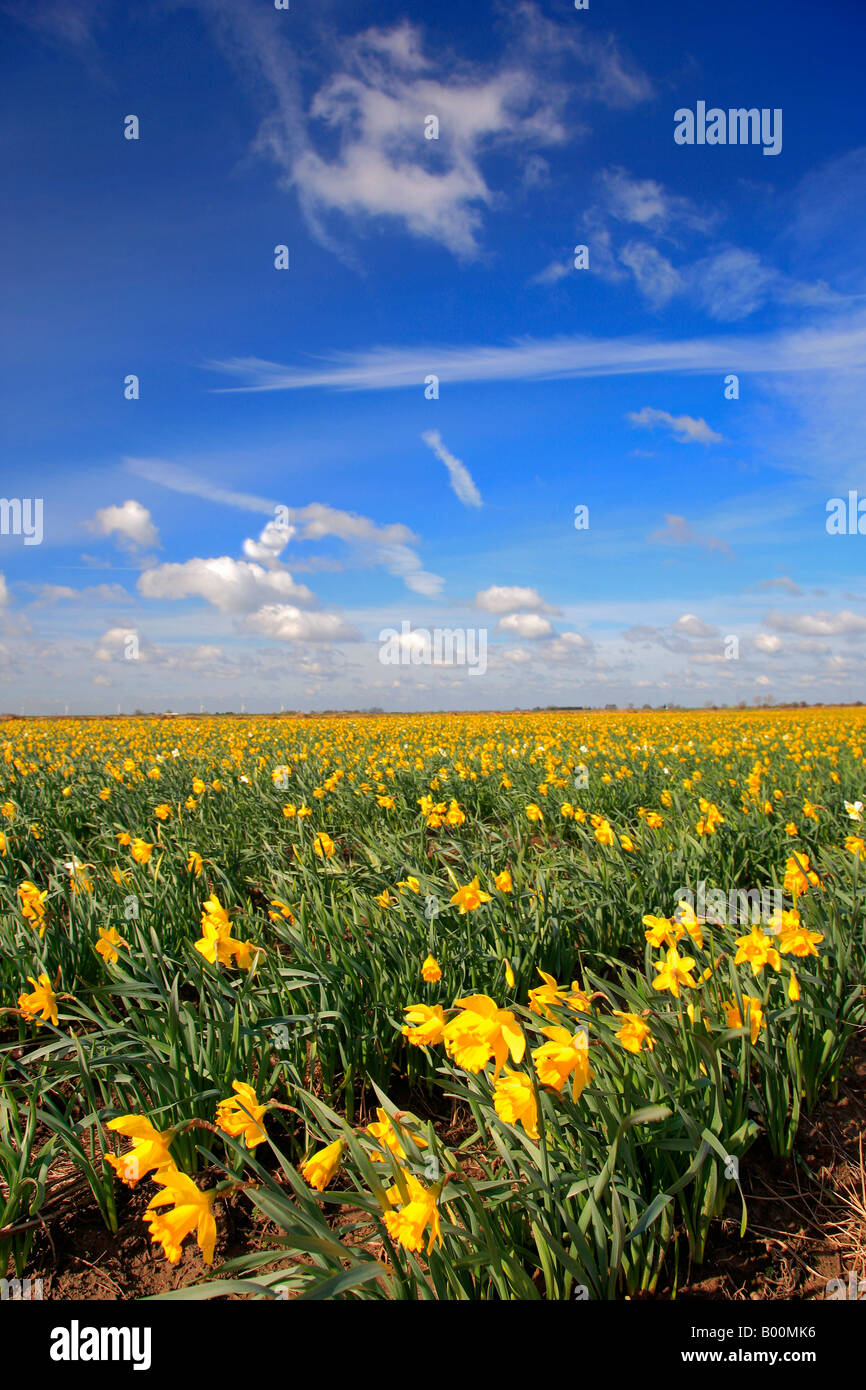 Spring landscapes blue sky hi-res stock photography and images - Alamy