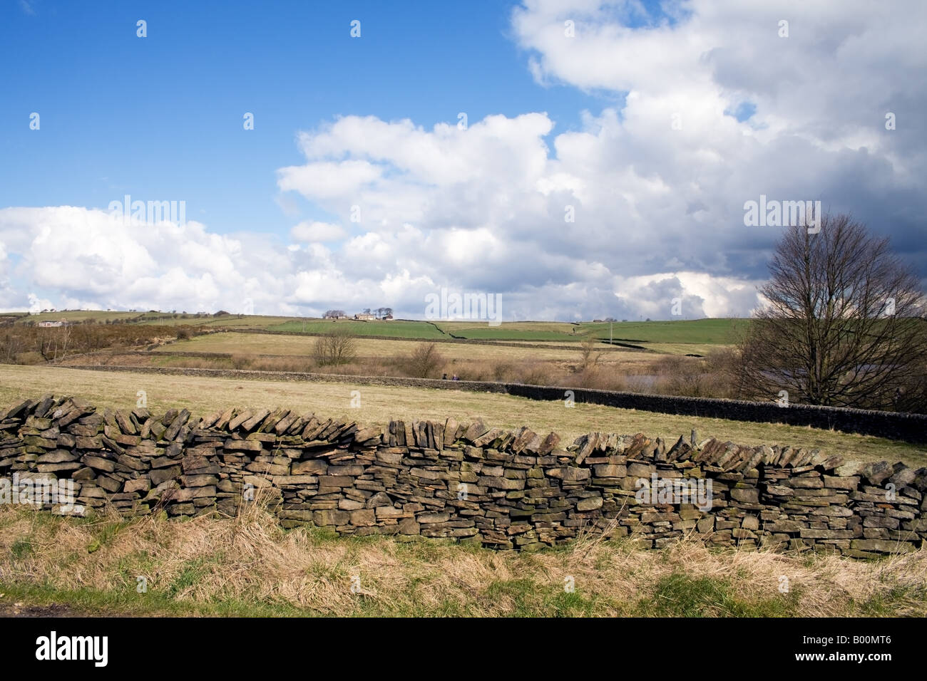 Hill farmland & dry stone walls @ Ingbirchworth South Yorkshire Stock ...