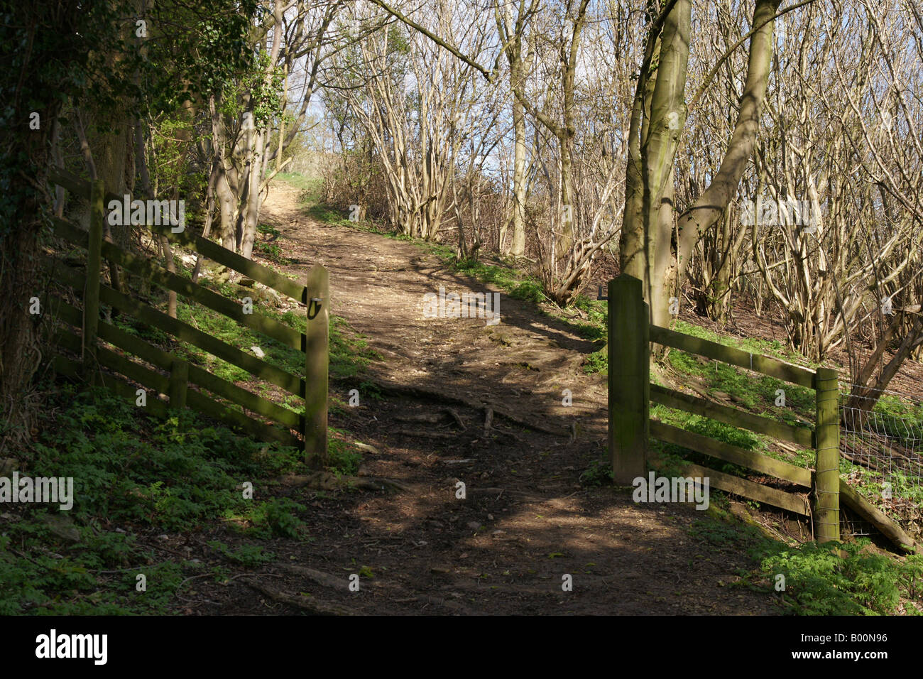 Sheepscombe Gloucestershire England Cotswold Stock Photo - Alamy