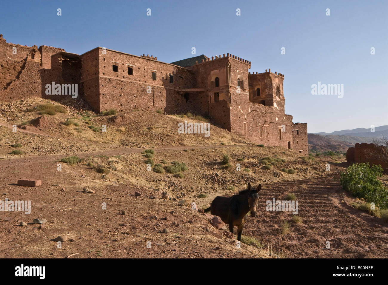 Glaoui palace hi-res stock photography and images - Alamy