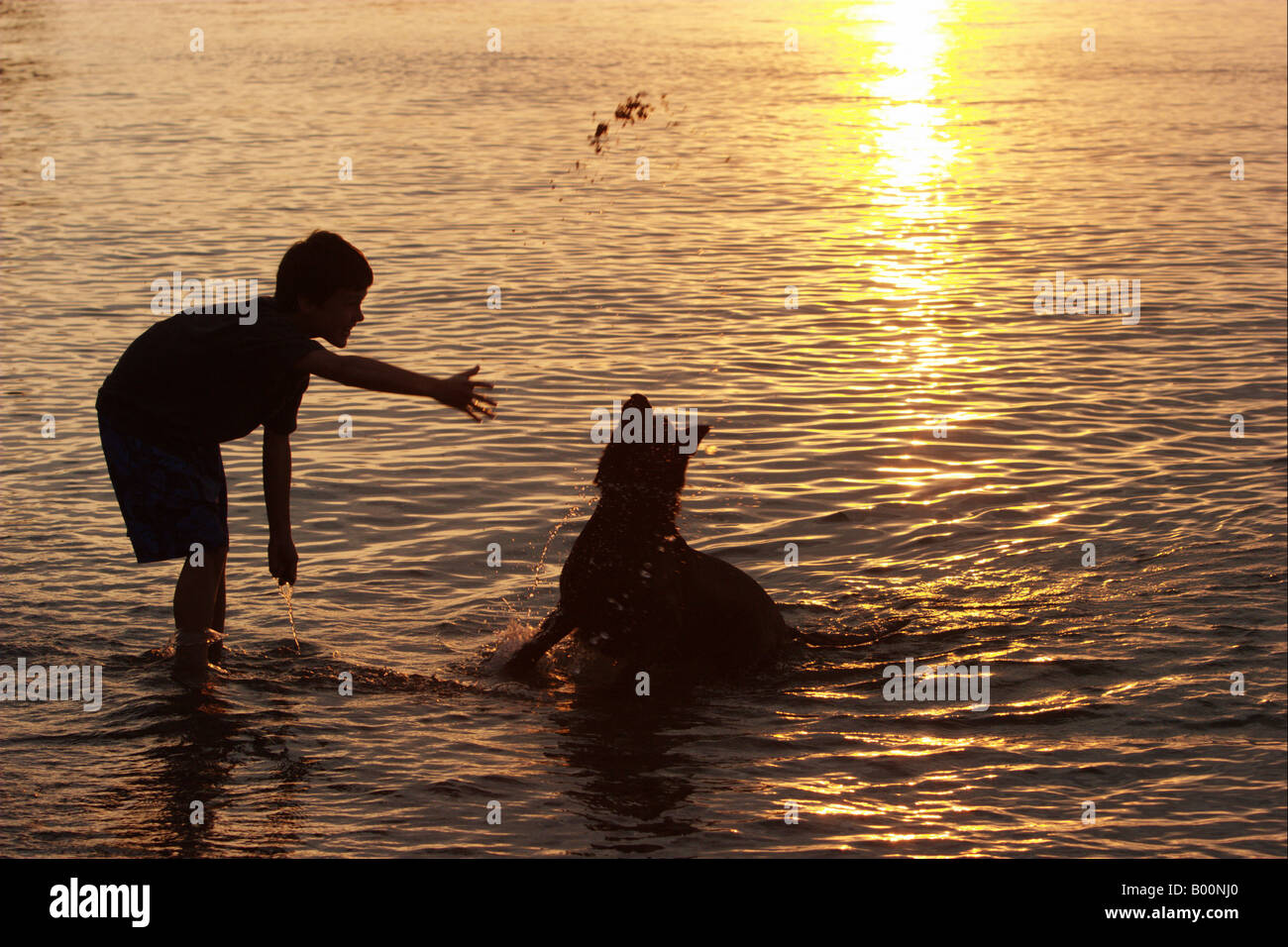 Boy playing with the dog Stock Photo - Alamy