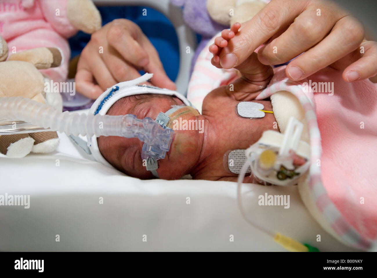 Nicu monitor hi-res stock photography and images - Alamy