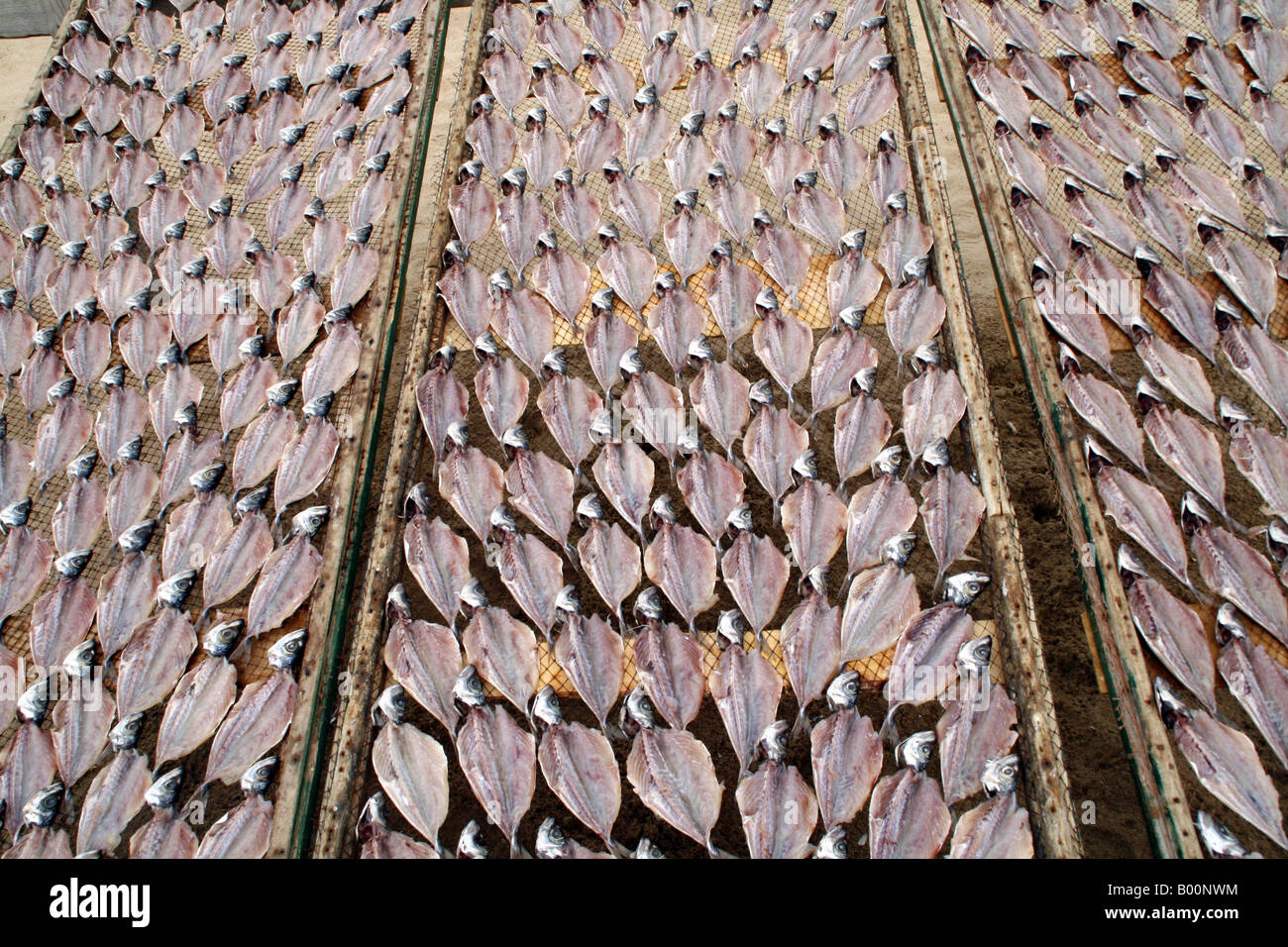 Fish racks hi-res stock photography and images - Alamy