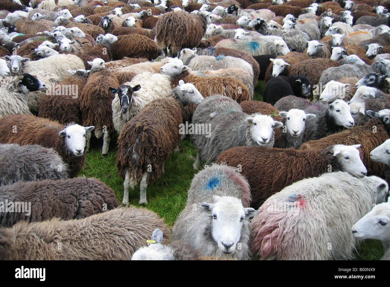 Blocking district hi-res stock photography and images - Alamy