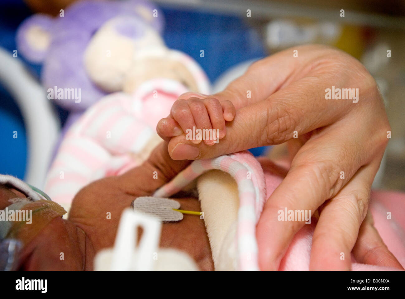 Intensive care hand doctor patient hold hi-res stock photography and ...