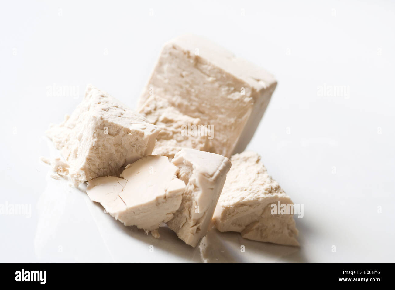 Bacteria yeast hi-res stock photography and images - Alamy