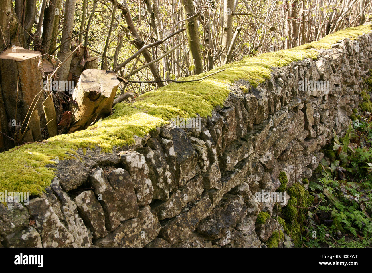 Sheepscombe Gloucestershire England Cotswold Stock Photo - Alamy